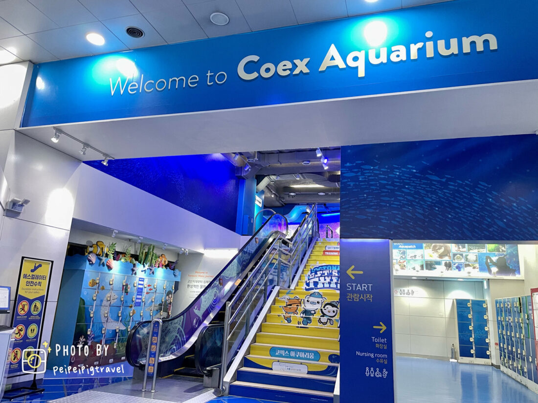 韓國首爾景點｜COEX AQUARIUM 水族館－超大室內水族館，韓國本土特有魚類、4萬隻海洋生物 | 美食瑜樂